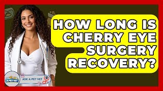 How Long Is Cherry Eye Surgery Recovery? - Ask A Pet Vet