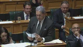 NZ First throws a spanner at abortion law reform with referendum suggestion