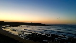Magic Fm uncover Phillip Island's wildlife wonders