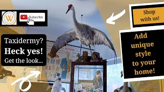 Taxidermy + Robots = Style | Decorate like a Dealer! | At Home with Gretchen & Benny Hinkle