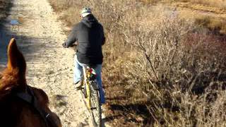 MOV00957