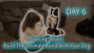 Trick Training With My Border Collie: The Best Tricks To Teach Your Dog