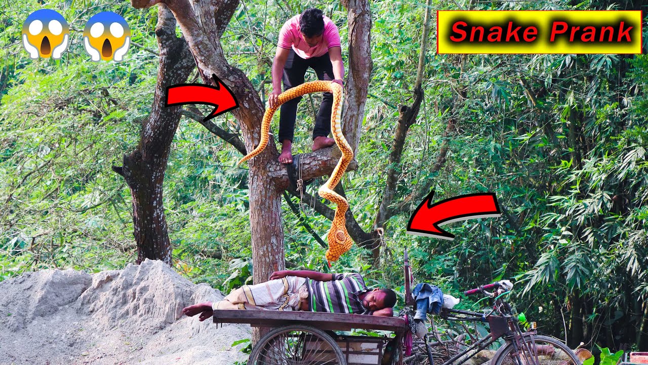 Snake Prank Compilation 2022 Best Funny Videos Snakeprank By