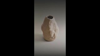Modeling of Zara Home vase