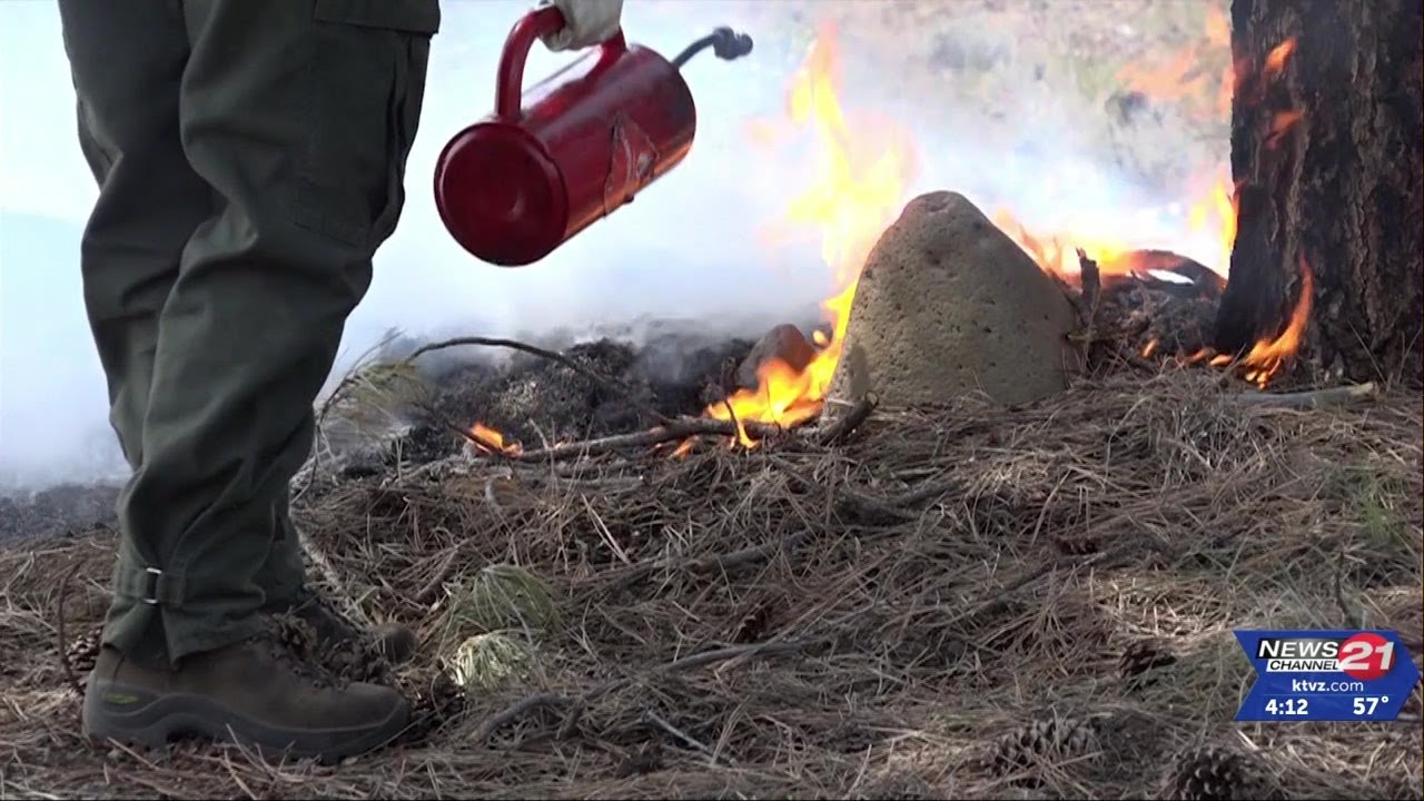 Prescribed Fire 101 Dozens From Across U S Canada Gather In Central