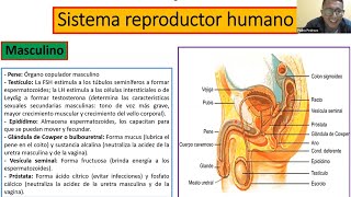 Capítulo 10 (Reproducción, Ciclo Celular y Sistema Reproductor Humano) de Biología