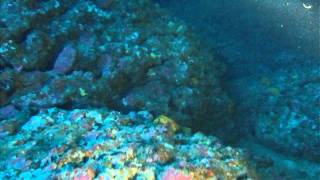DSCF0940