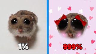 Sad Hamster Becomes Cute