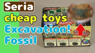 Toys Excavation Kit | Review | Discover Treasure Fossil in the Dinosaur Era