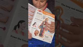 Uncover the Human Body Layer by Layer Book!