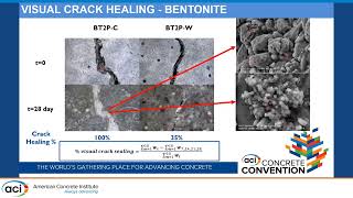 Immobilization of Bacterial Cells on Natural Mineral for Developing Self-Healing Cement-Based Mortar