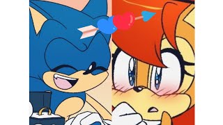 Sonic Proposes To Sally | Sonally Comic Dub