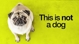 How Humans Ruined Dogs