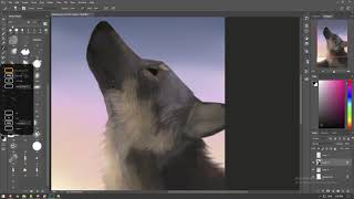 Spruce (Wolf Speedpaint)