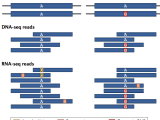 Rna Editing Training Class