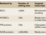 Rna Editing Training Class