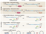 Rna Editing Training Class