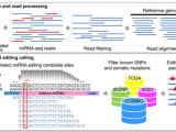 Rna Editing Training Class