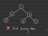 Binary Tree Le Lyu