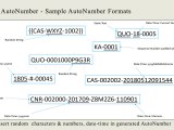 Auto Number Example At Eugene Bergeron Blog
