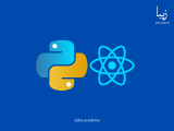 Multi Skill Web Dev Course Python React Zeba Academy