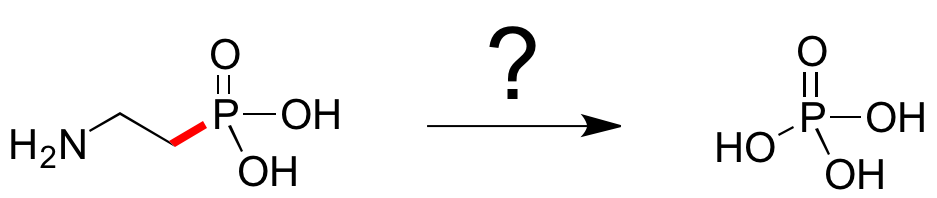 Phosphonates – Zechel Lab