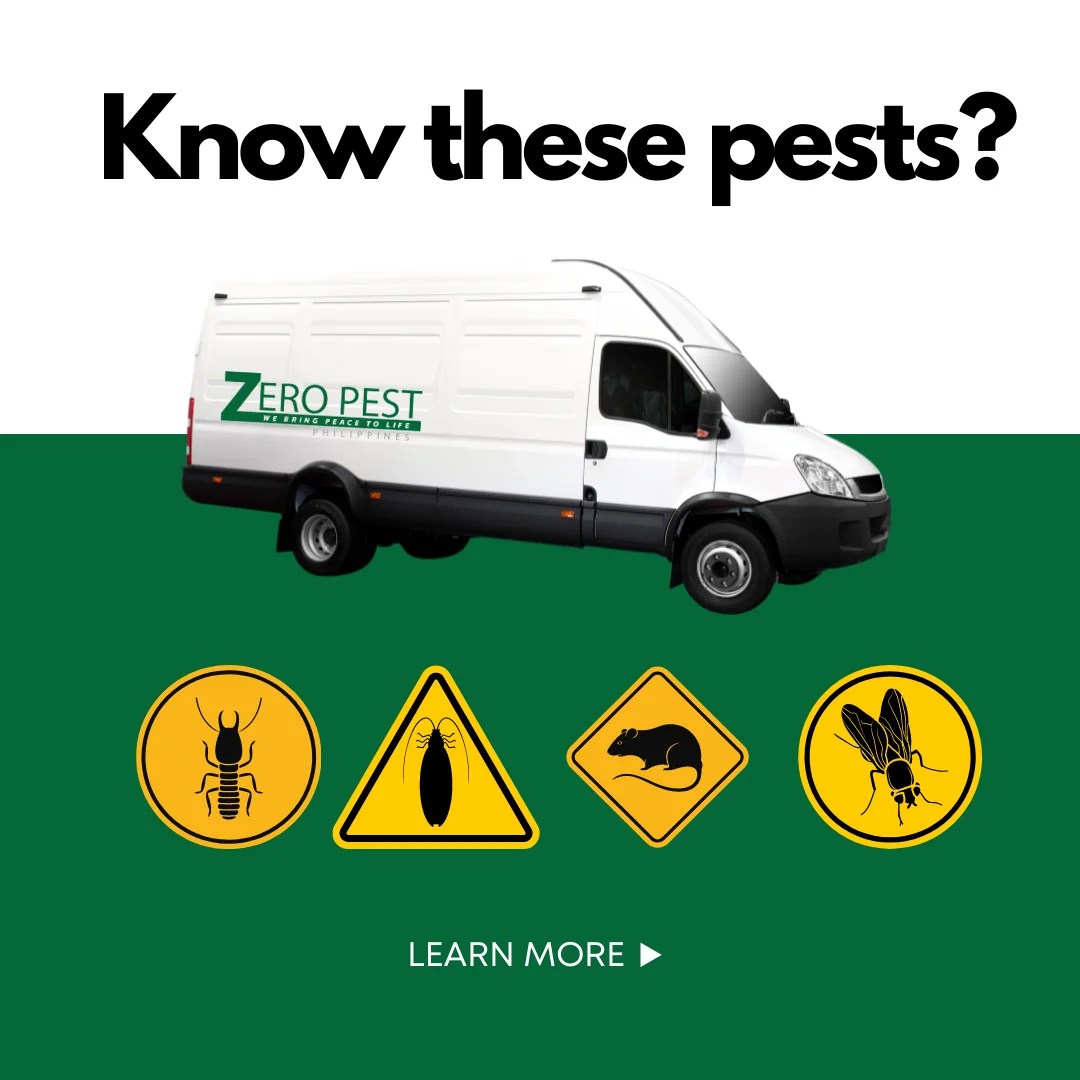 Home - ZeroPest PH