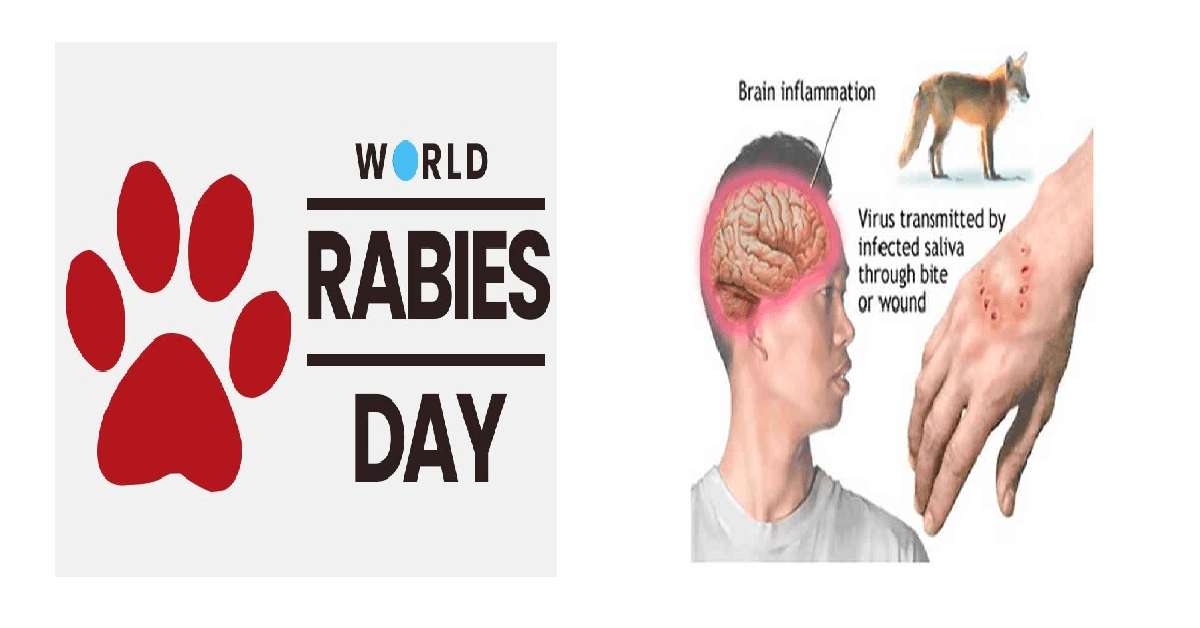 All you need to know about World Rabies Day - Zero Thought