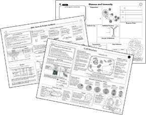 Topic on a Page for AQA Biology AS / A Level Year 1 – ZigZag Education