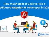 How Much Does It Cost To Hire A Dedicated Angular Js Developer In 2021