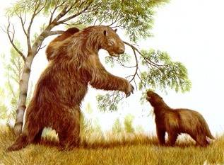 Džinovski megaterijum lenjivca: opis. Džinovski drevni lenjivci ...