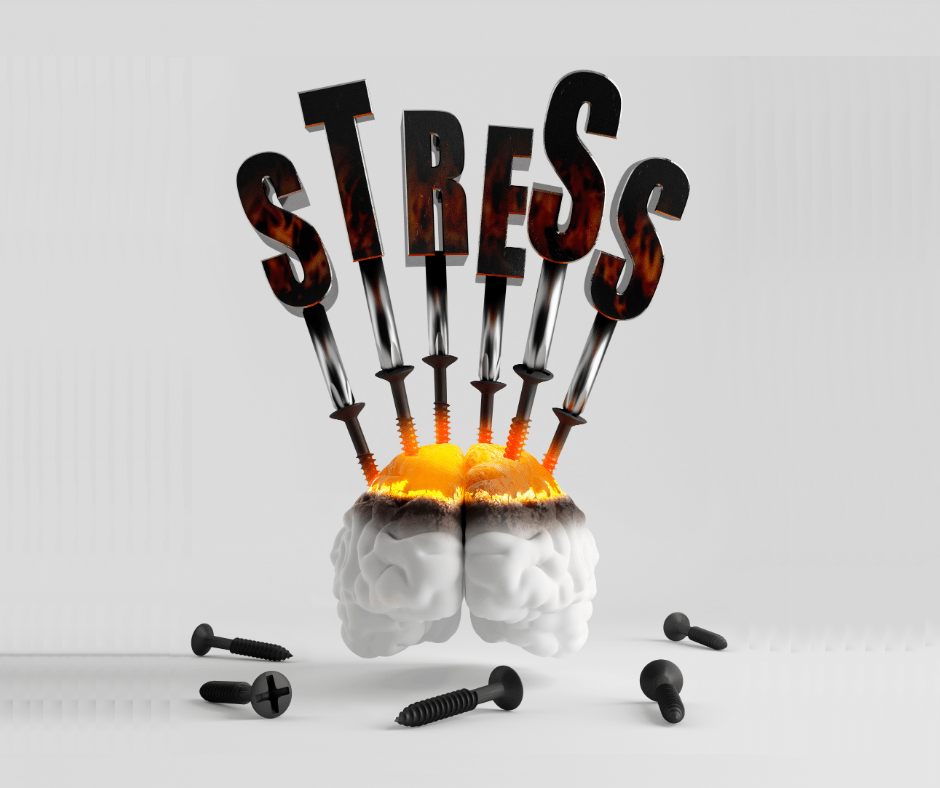 Stress Hormones: Friends or Enemies? | Zoom-in Nutrition