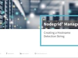 Nodegrid Manager Creating A Hostname Detection String Zpe Systems